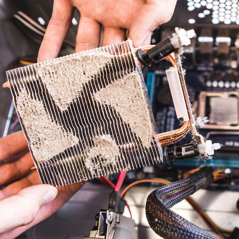 Programs - Phoenix School