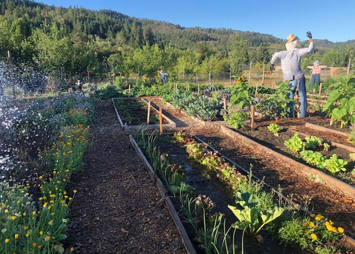 Farm to School - Phoenix School
