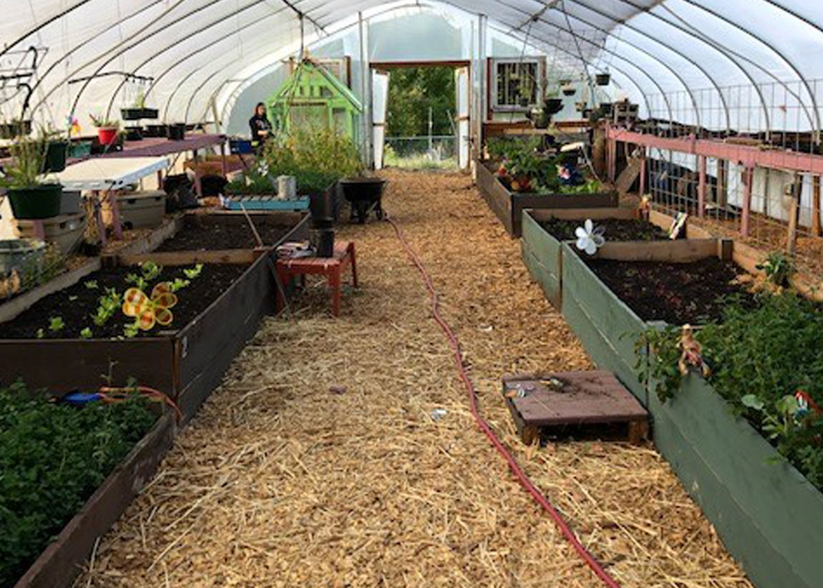 Farm to School - Phoenix School